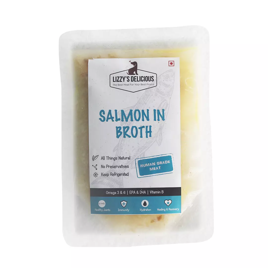 Salmon in Broth (6 Packs of 100 gms) - Lizzy's Delicious
